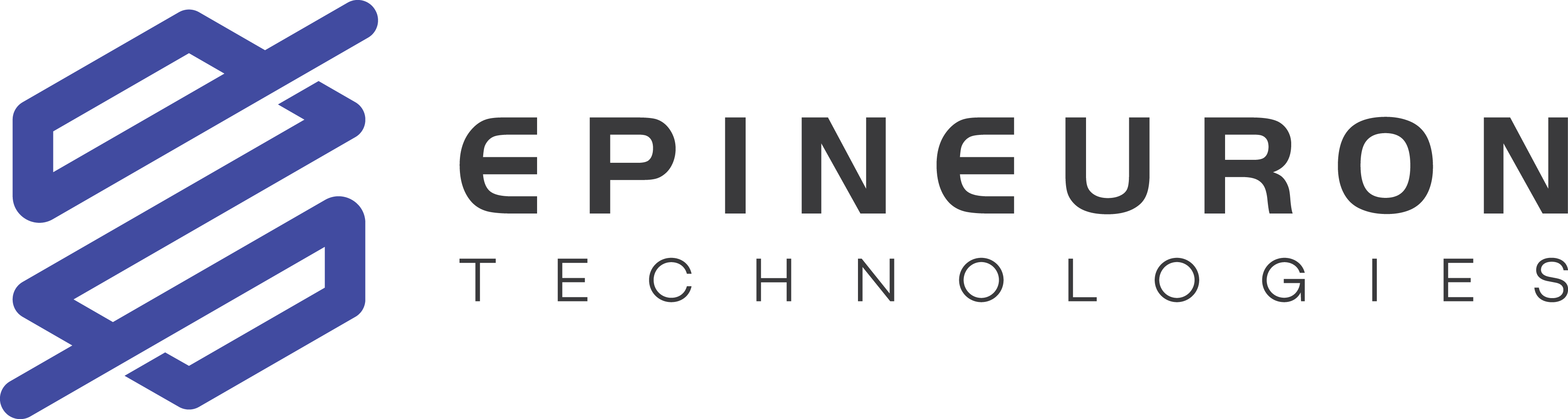 EpiNeuron | The Forge | McMaster University